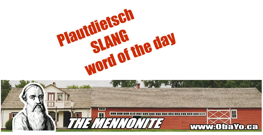 NEW Plautdietsch Slang word of the day: Schloare – ObaYo.ca