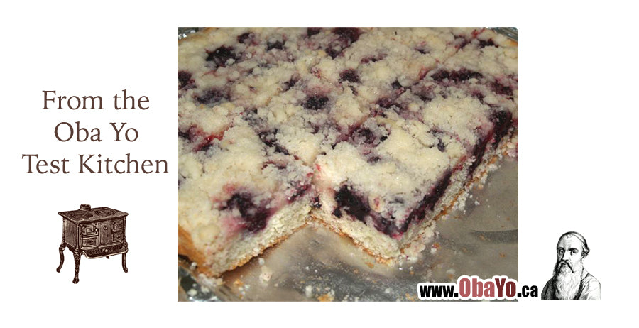 Blueberry Platz Mennonite Recipe – ObaYo.ca
