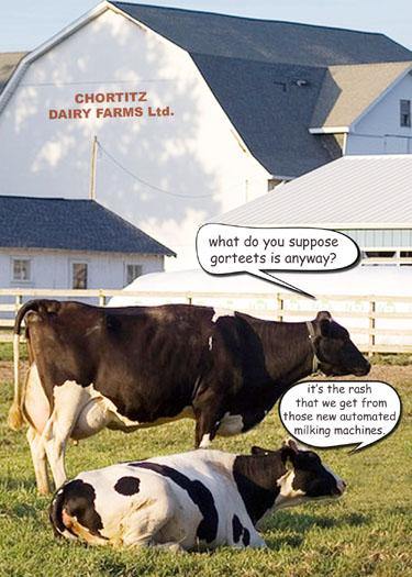 Gorteets - Funny Mennonite Birthday Card – ObaYo.ca